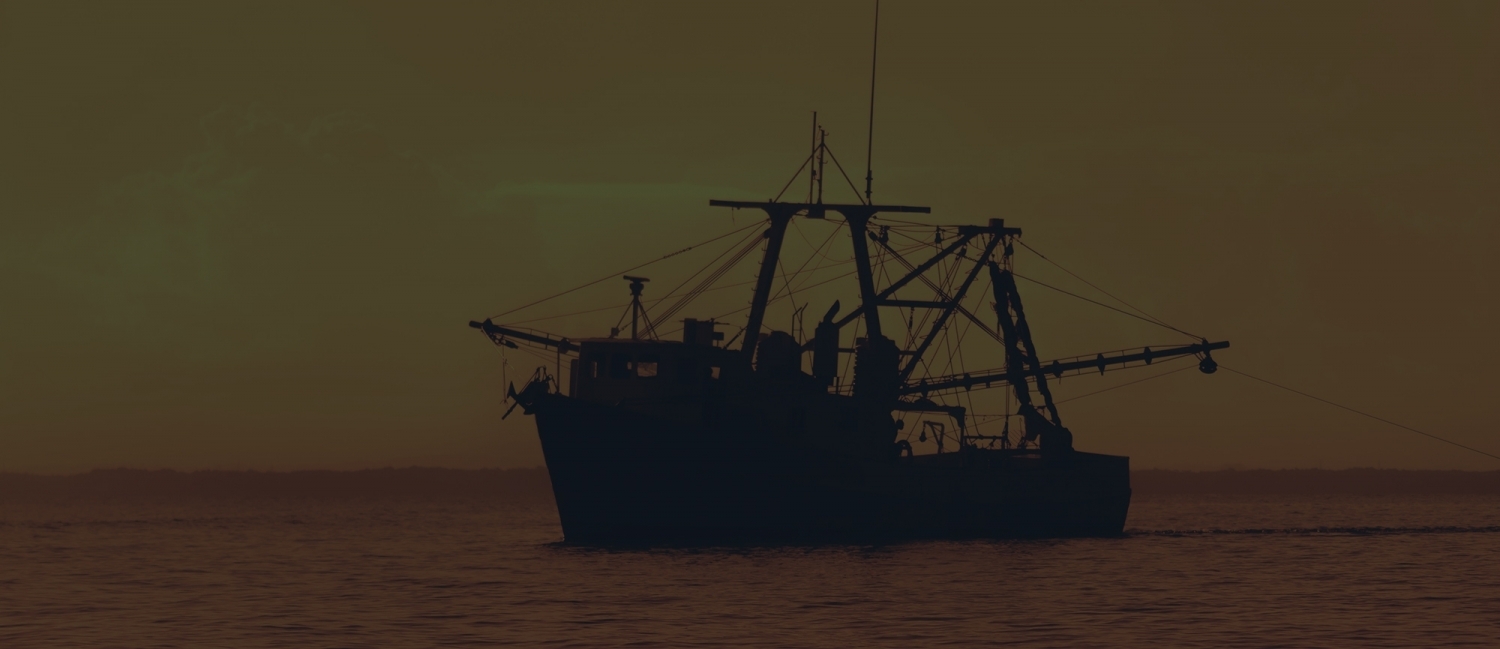 Commercial Fishing Scale Installation & Repair Service in Michigan
